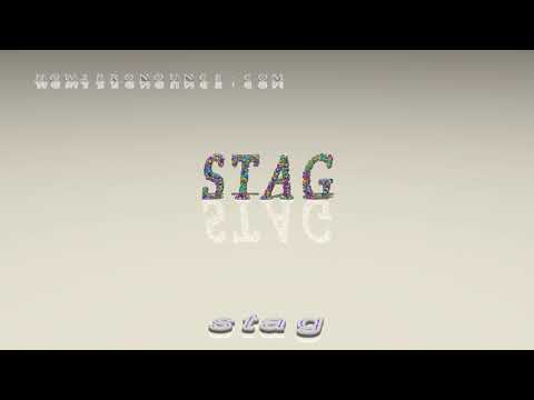 stag - pronunciation + Examples in sentences and phrases