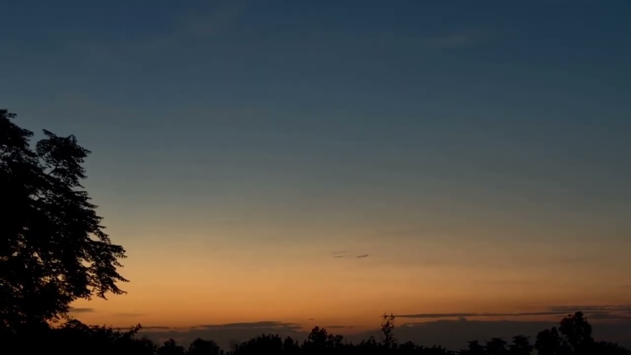 Sunset vibes 🌅 #shortvideo #reels #nature #ytshorts  #youtubeshorts #sunset #views 