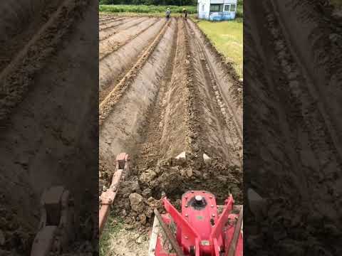 Powerful Ridge And Furrow 2 In 1 Plow #satisfying #short