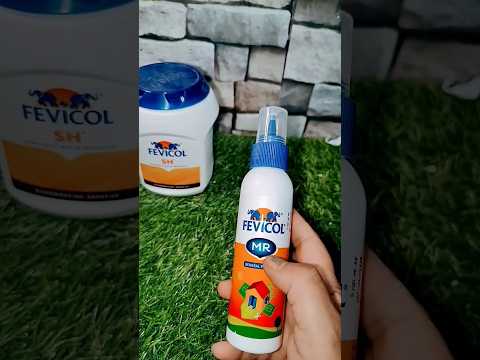Fevicol types SH vs MR #shorts #ytshorts #shortsfeed #viral