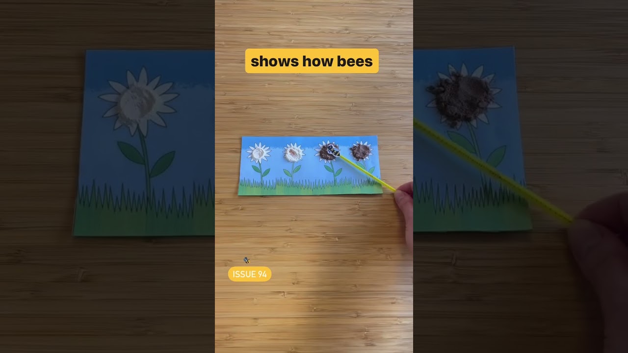Teach how bees pollinate flowers with this easy experiment for kids