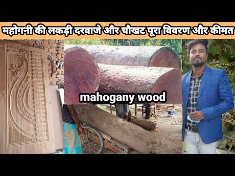 Mahogany Wood - Mahogany Tree Latest Price, Manufacturers & Suppliers
