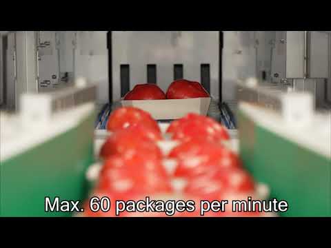 Plastic Punnets - Fruit Packaging Materials Latest Price, Manufacturers ...