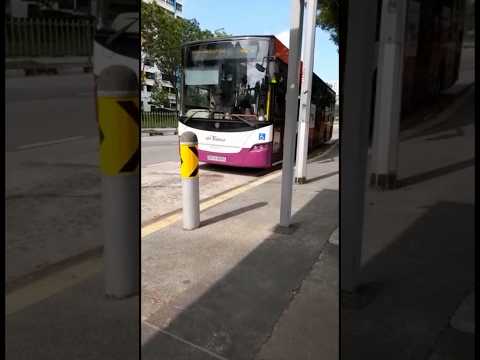[SBST] Service 163 Scania K23OUB Euro 4 Reburished SBS8388E