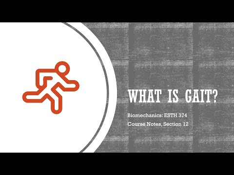 What is Gait? - Biomechanics