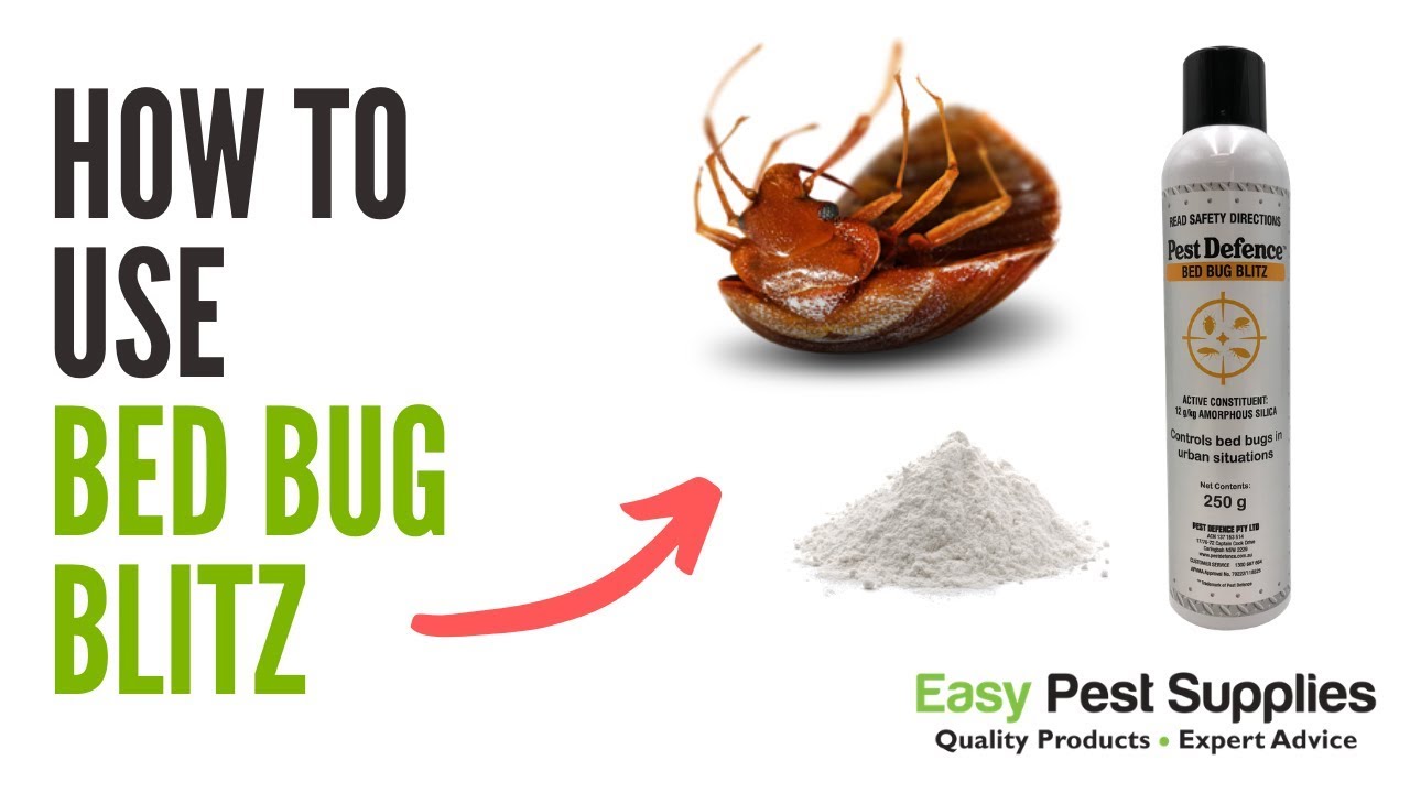 How to Use Bed Bug Blitz