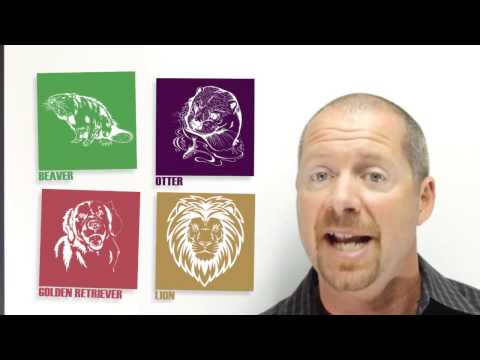 TeamBuild Animal Personality Assessment Video