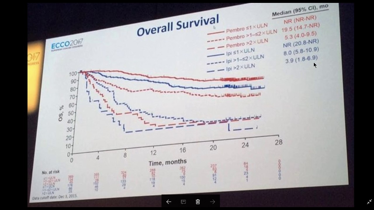 How to interpret a survival plot