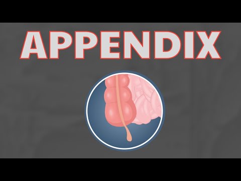 What Does APPENDIX Means || Meanings And Definitions With Example in ENGLISH .