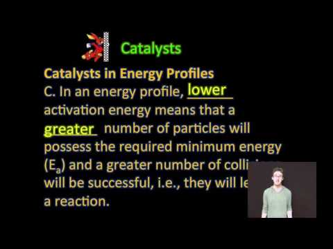 Intro to Catalysts