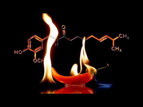 What puts the heat in chili peppers?