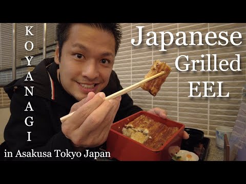 Japanese Grilled EEL, Unagi in Koyanagi Asakusa Tokyo Japan | Vlog | 浅草 小柳 うなぎ 鰻