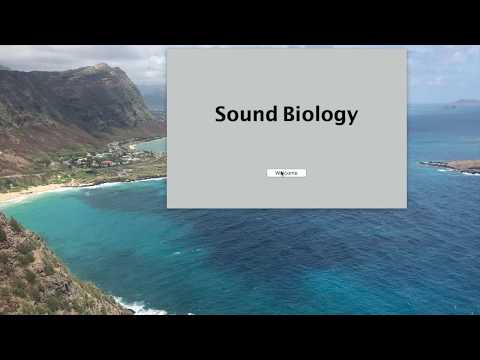 Coding DNA into Music