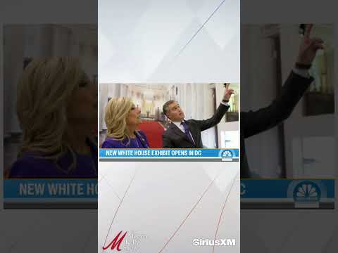 Megyn Kelly Slams NBC's Peter Alexander's Embarrassing "Interview" With "Doctor" Jill Biden