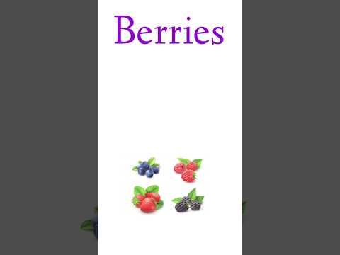 Different berries π«π #botanicalgarden #biology