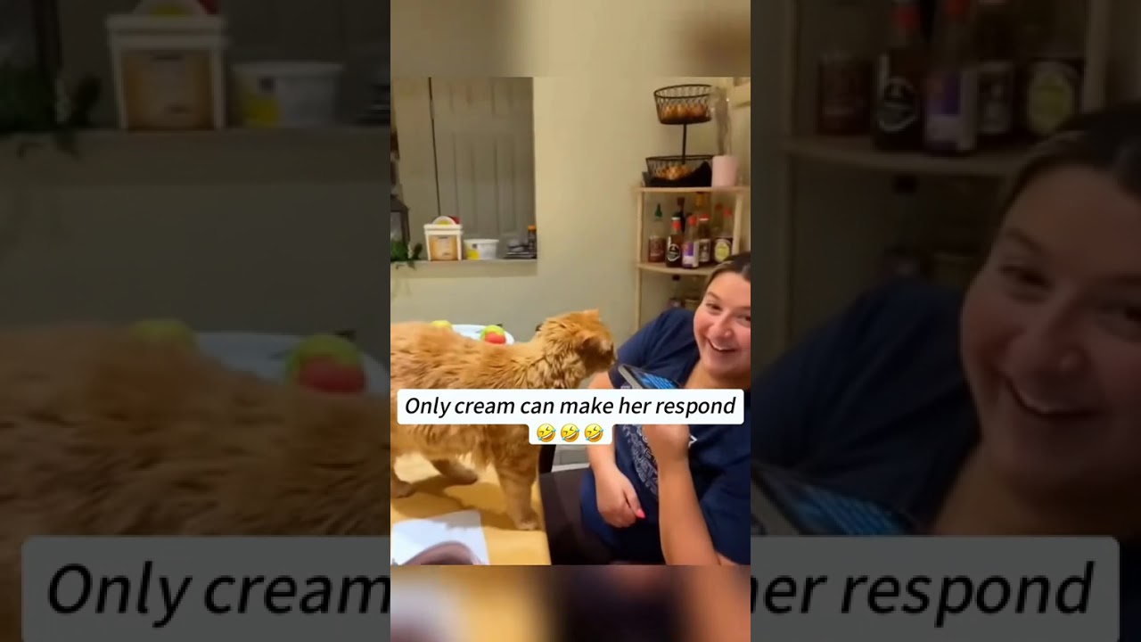 Funny CAT Moments 😂😂 episode 10996 #funnycats #cats #funnyanimals #petsofinstagram