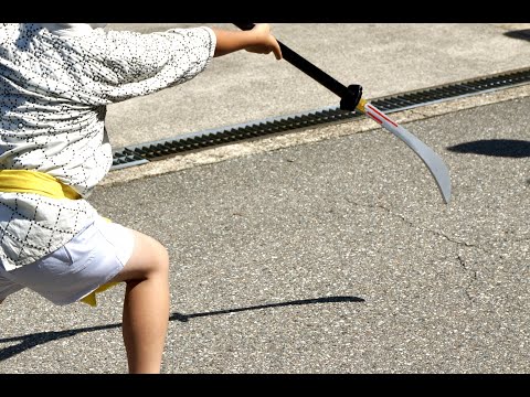 History of naginatajutsu #japanesemartialarts #kobujutsu #naginata
