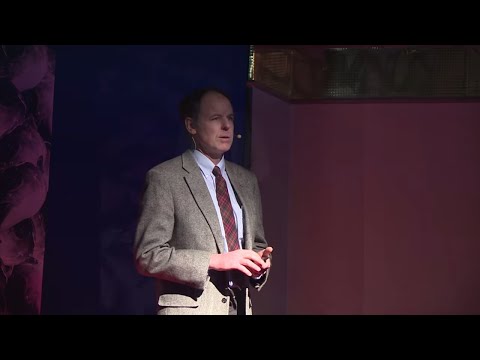 What I learned about learning from traditional Japanese boatbuilders | Douglas Brooks | TEDxHimi