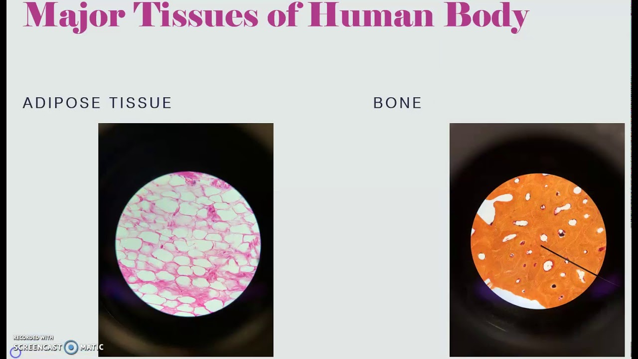 Laboratory Exercise Six