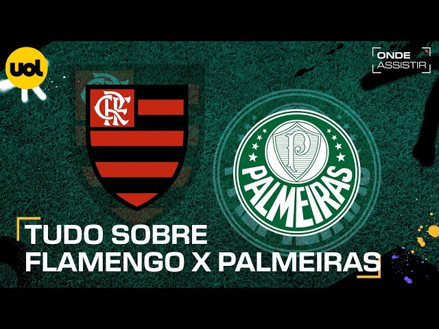 Jogo Do Palmeiras Hoje Horário E Onde Assistir Ao Vivo
