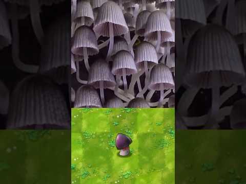 PVZ Plants in real life ππΏ
