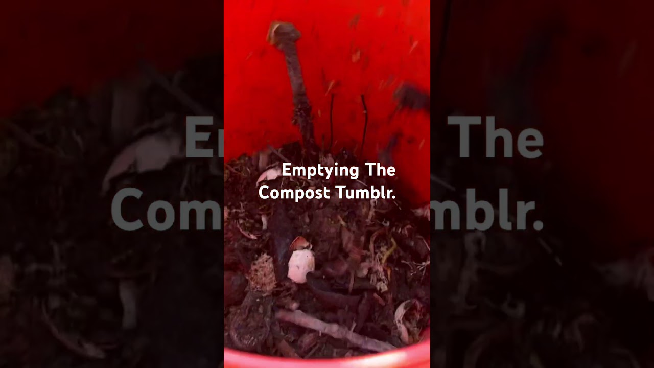 Compost Tumblr Review