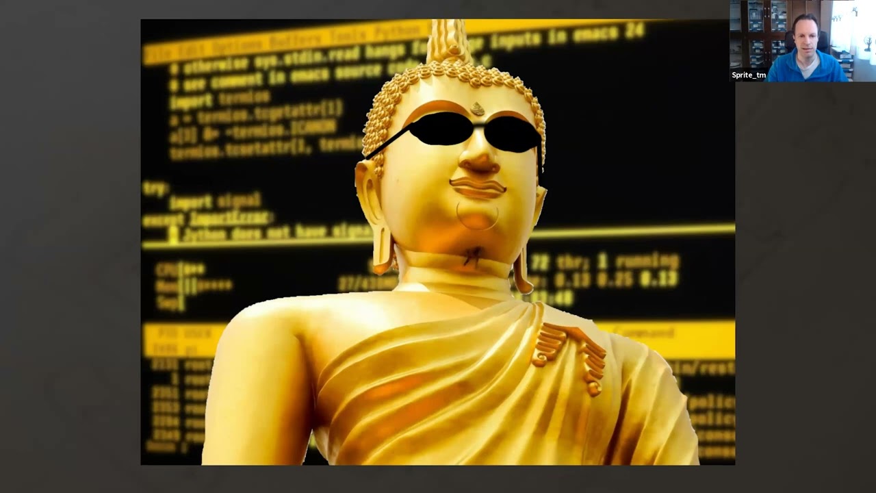 Remoticon 2021 // Jeroen Domburg [Sprite_tm] Hacks the Buddah Flower