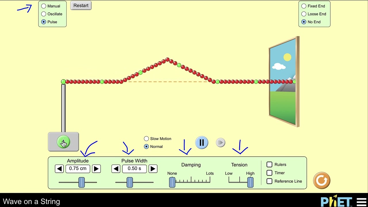 Physical Science Lab - Waves on a String
