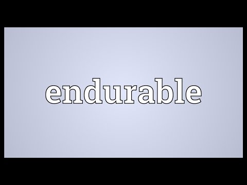 Endurable Meaning