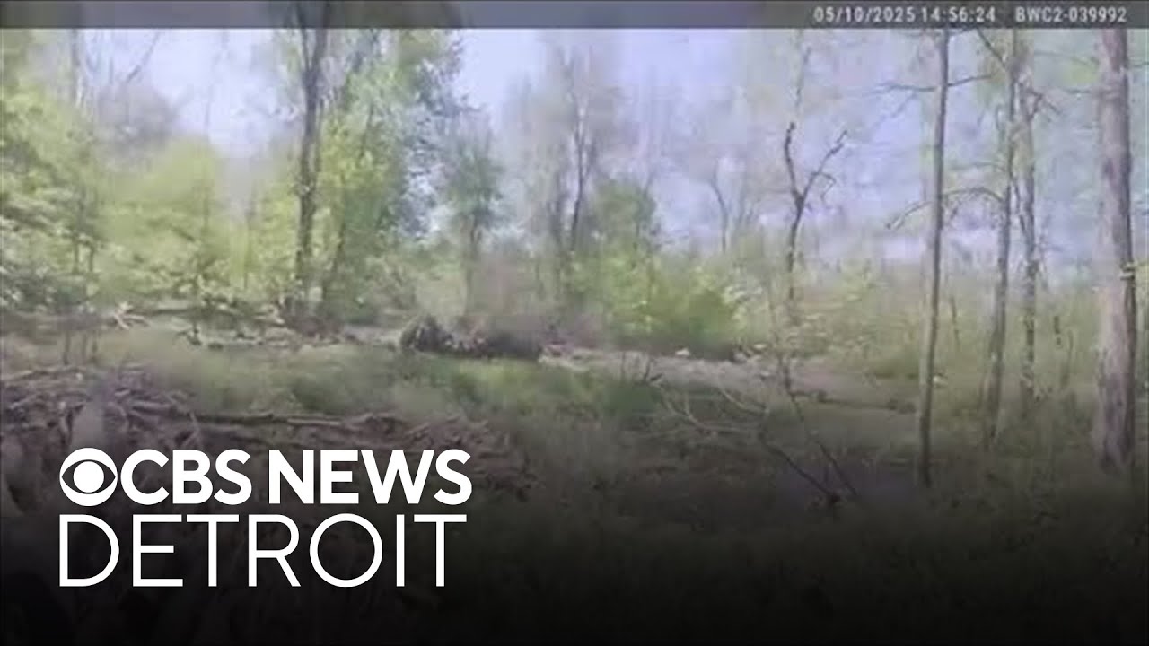 Sterling Heights police rescue kayaker in distress on Clinton River