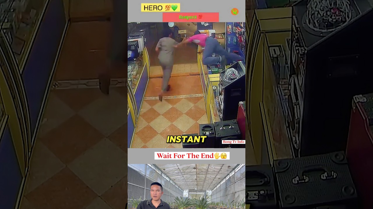 Perfect Plan — Stopped in a Split Second