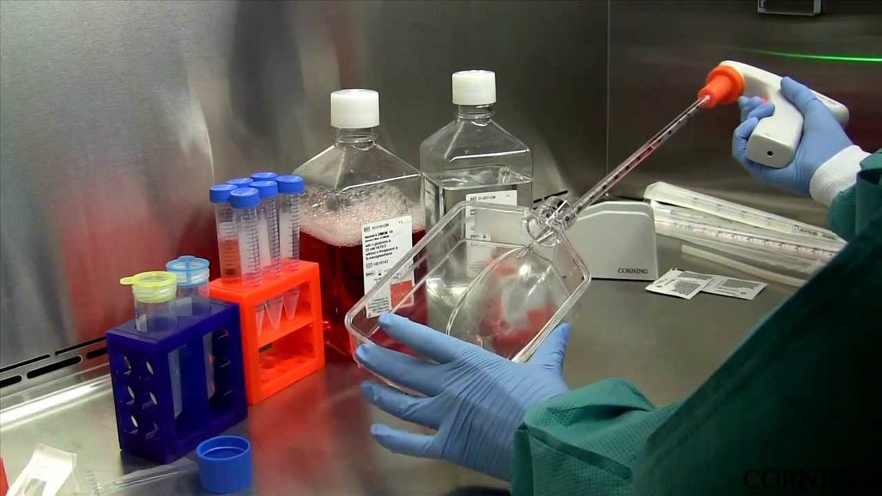 Techniques for Harvesting Adherent Cells