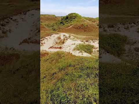 Sentinels of History: Delving into Atlantikwall WWII French/ German Dune Bunkers - Stützpunkt Anna