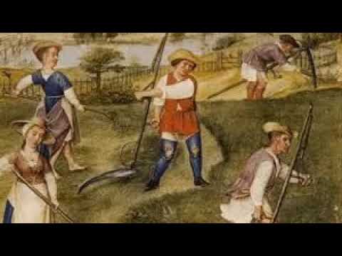 Frederic Arthur Seebohm (20/37) Tribal Customs In Anglo-Saxon Law