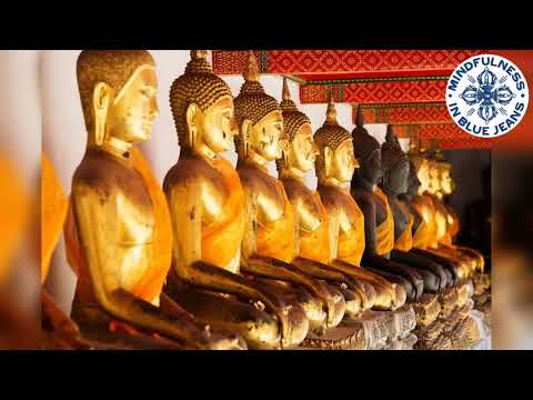 Anger: From Blind Rage to Clear Seeing - Live Mindfulness Talk and Guided Meditation