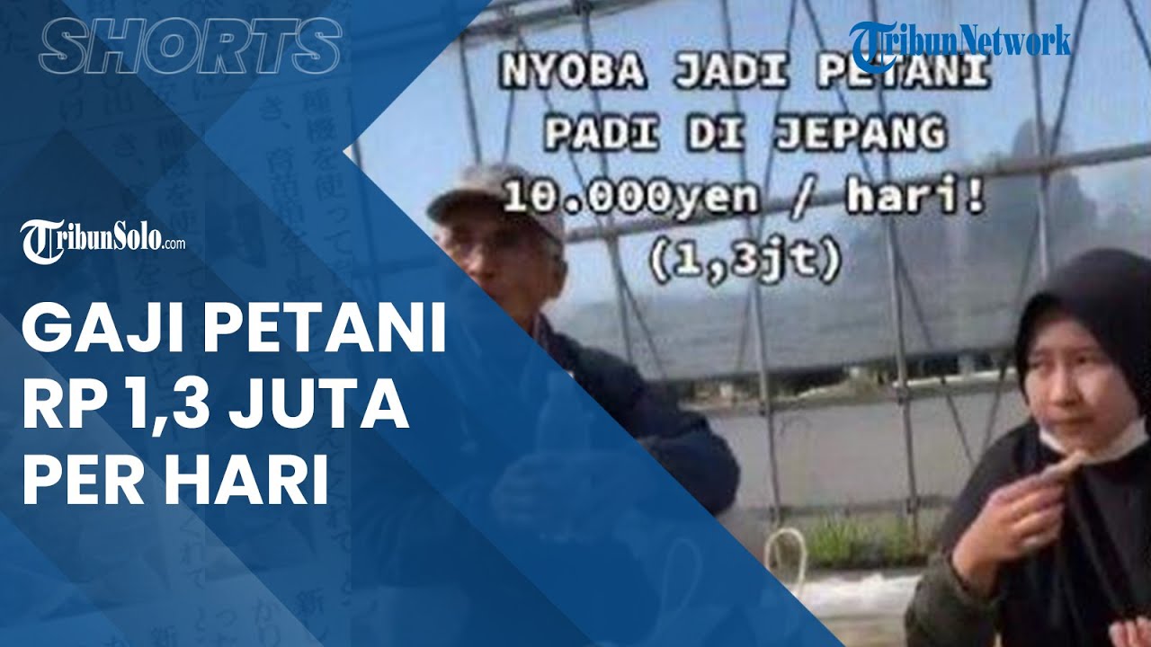 Viral Kisah Mahasiswi Asal Indonesia Jadi Petani Di Jepang Dapat Gaji