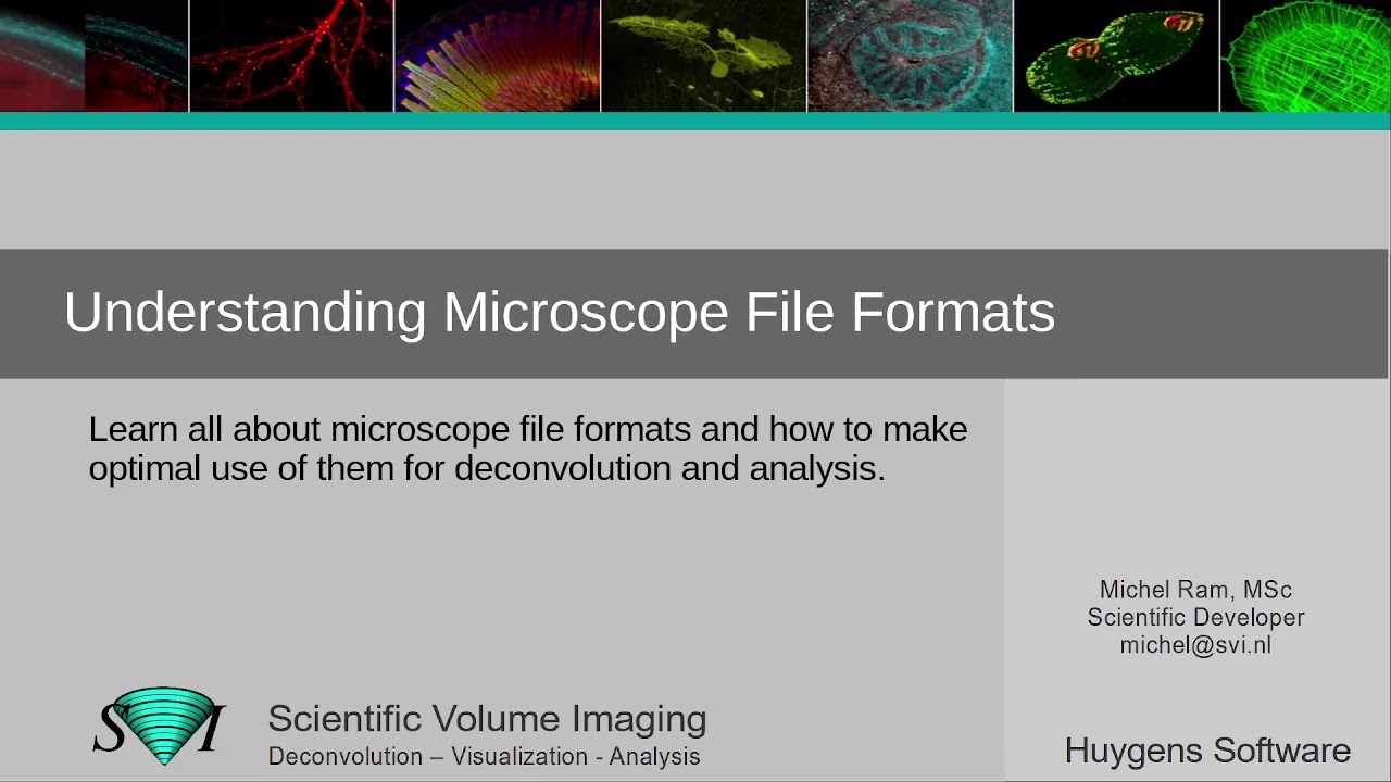 Webinar: Microscope File formats and Data types