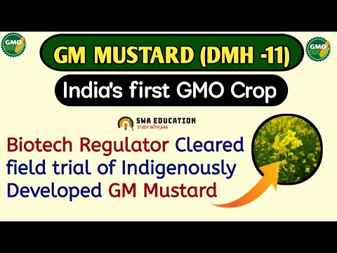 Indigenous Genetically Modified Mustard | GMO Mustard | FSO & FCI Exam