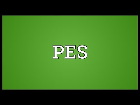 PES Meaning