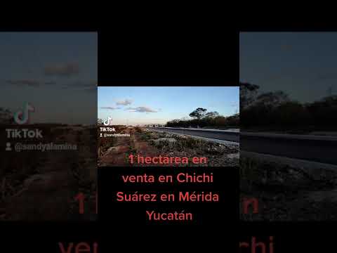 Terreno en Venta 1 hectarea en Chichi Suarez en Mérida Yucatán