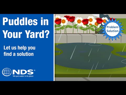 How to Prevent Standing Water in Your Yard | NDS Drainage Systems