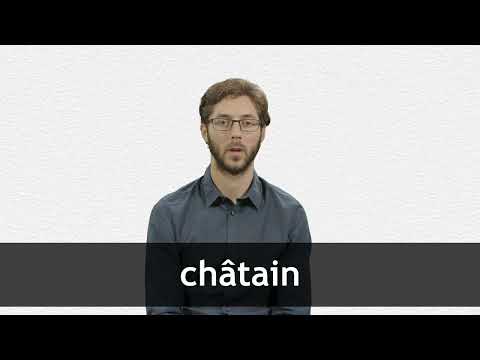 English Translation of “CHÂTAIN” | Collins French-English Dictionary