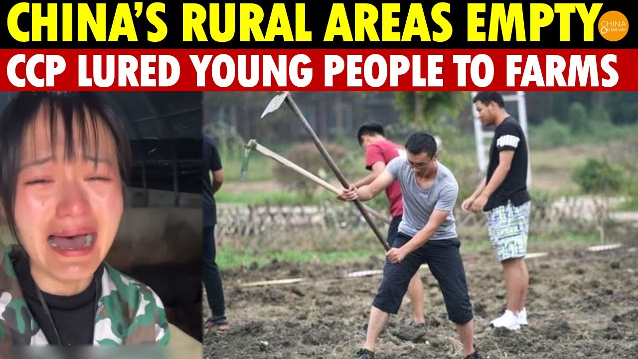 CCP Tricks Youngsters with Rural Entrepreneurship, Ends in Tragedy ...