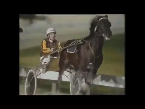 1996 Victoria Trotter's Derby Mooney Valley Australia : Noopy Kiosk