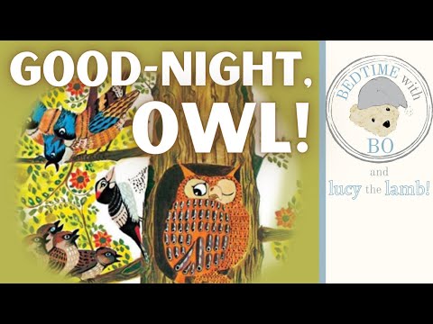 Good-Night, Owl! by Pat Hutchins | Bedtime Story Read Aloud for Kids | Bedtime with Bo