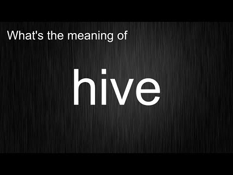 Stop Butchering "hive"! Learn How it's Meaning and pronunciation