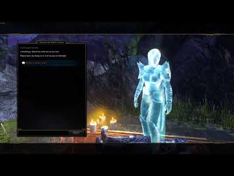 Steam Community :: Video :: Kaotic Paladin Neverdeath Graveyard Pt 1