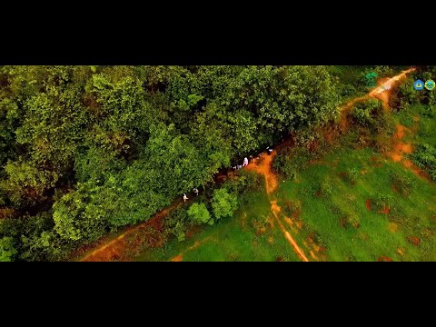 Desa Wisata Labuhan Ratu Vii