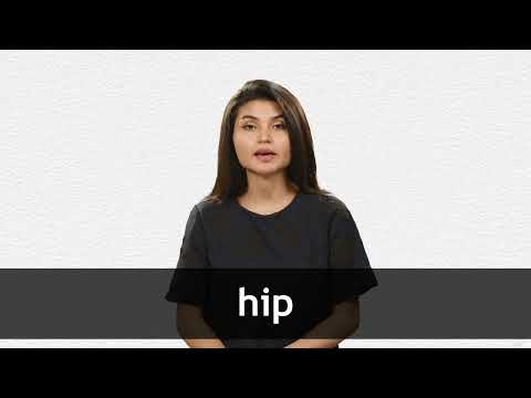 HIP definition and meaning | Collins English Dictionary