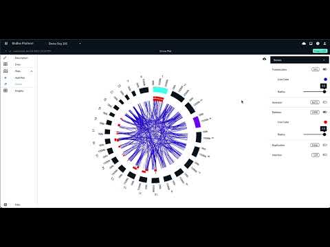 How to Create Circos Plots to Visualize SVs and CNVs